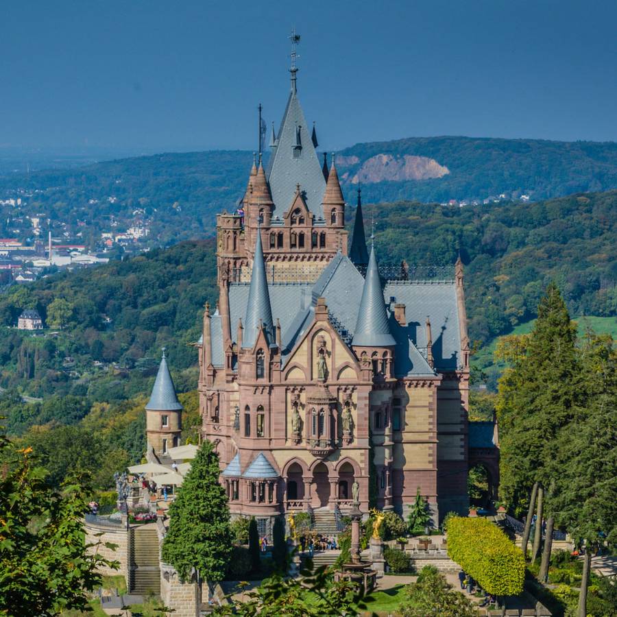 Rahel Meyer | fisch+fleisch