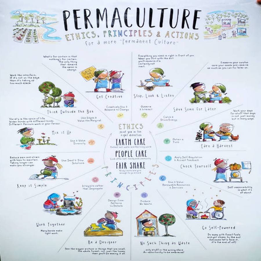 Sonnenberg Simon | fisch+fleisch