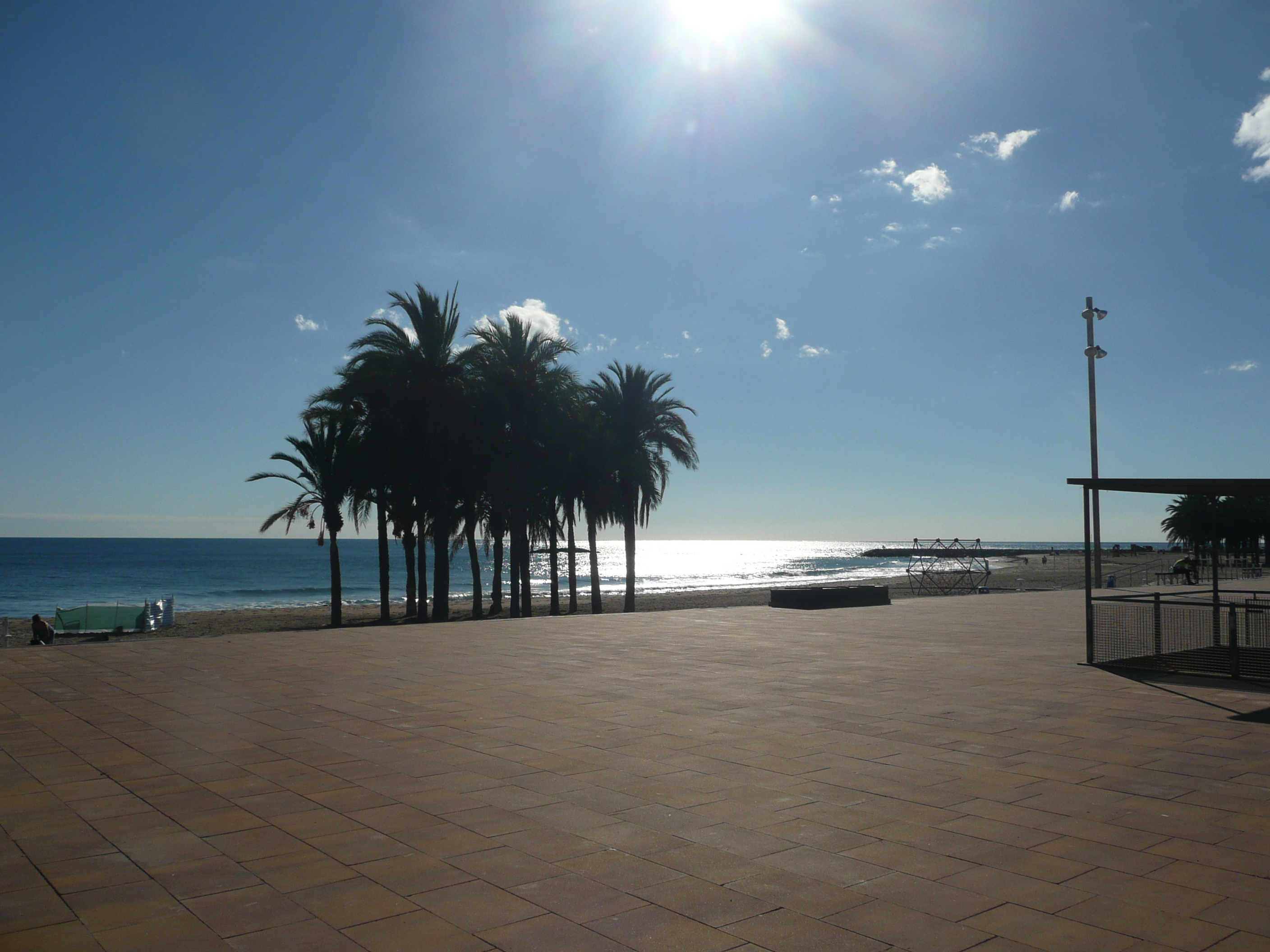 Leon ist nicht reich! - von denkerdesnutzlosen | fisch+fleisch