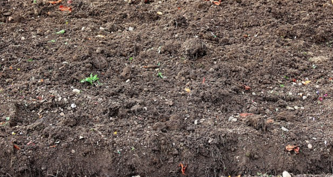 Kaputter Boden - von Frank Jordan | fisch+fleisch