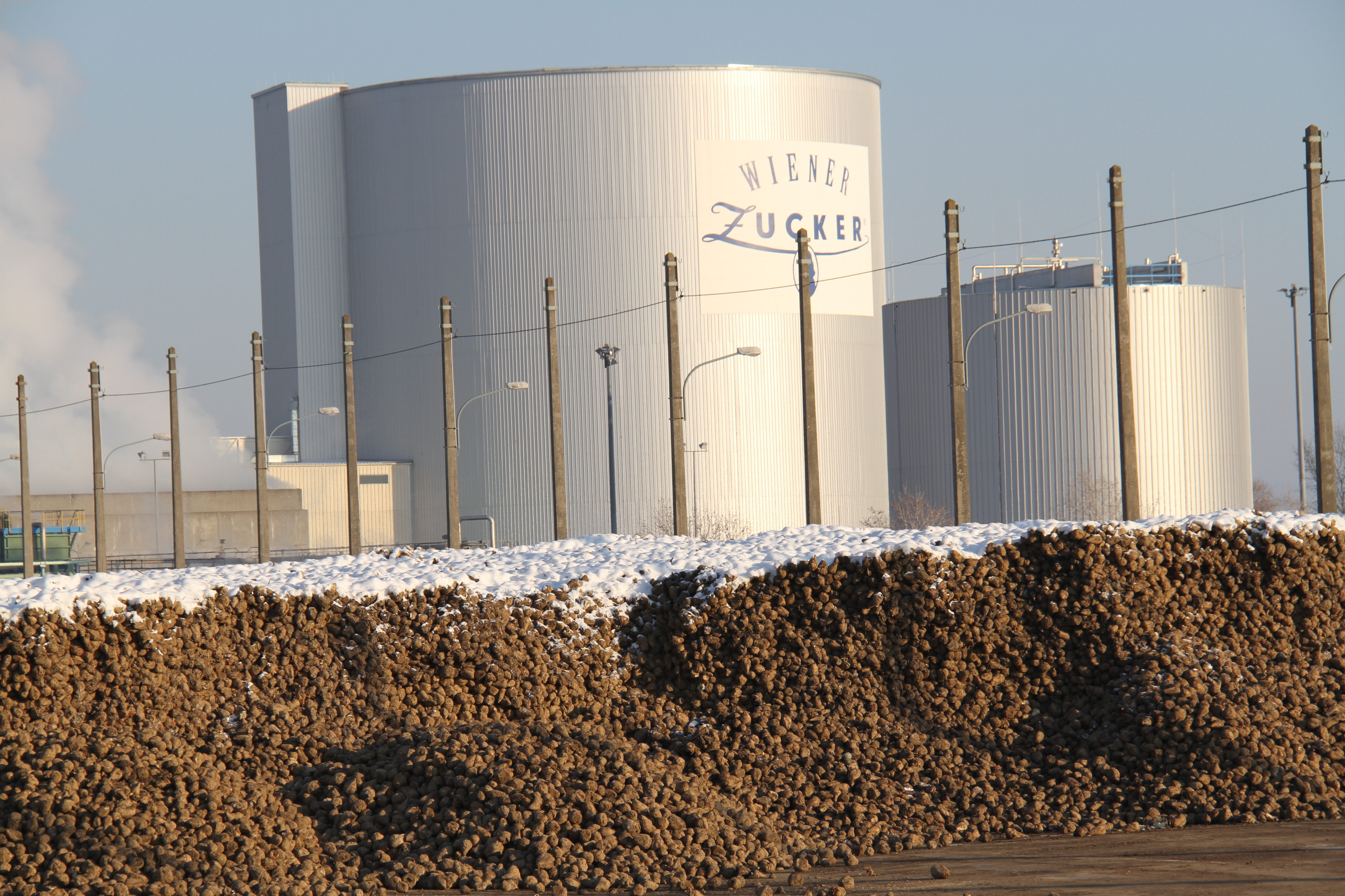 Leise rieselt der Zucker, das "süße Gift"? - von Peter Fuchs | fisch ...