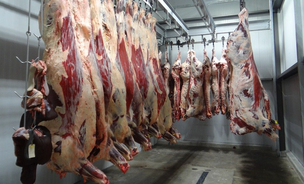 Brauchen wir wirklich Billigfleisch um jeden Preis? - von Claudia56 ...